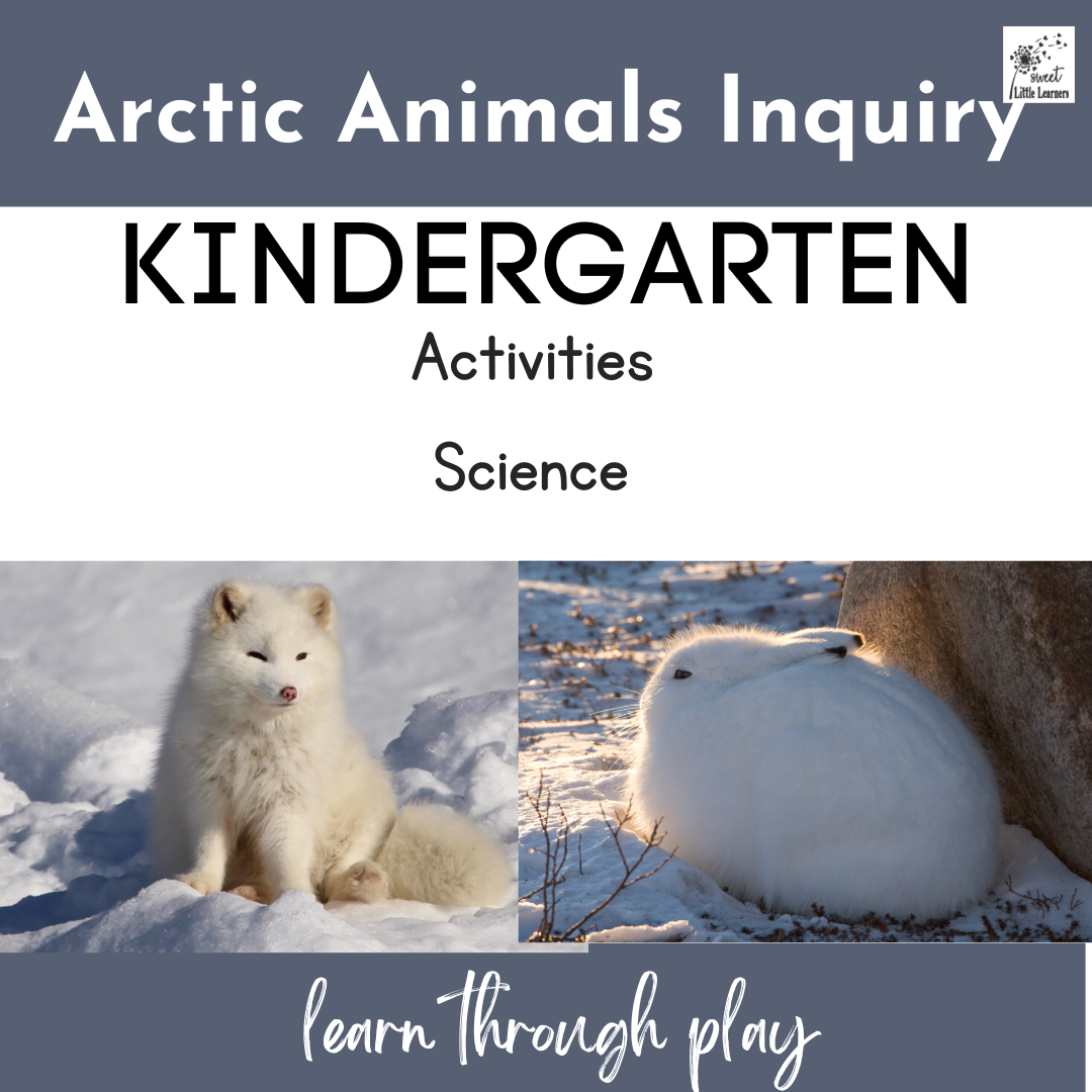 Arctic Animals Inquiry: Kindergarten & Grade One Exploration – Sweet ...